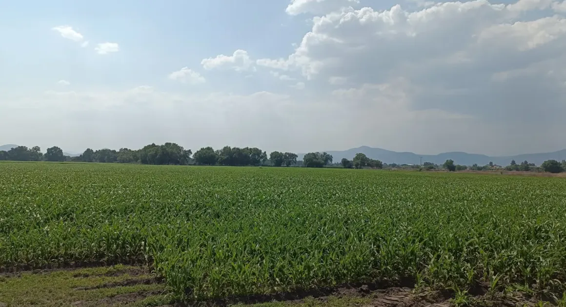 Terreno en Venta en Avenida San Isidro, El Marqués